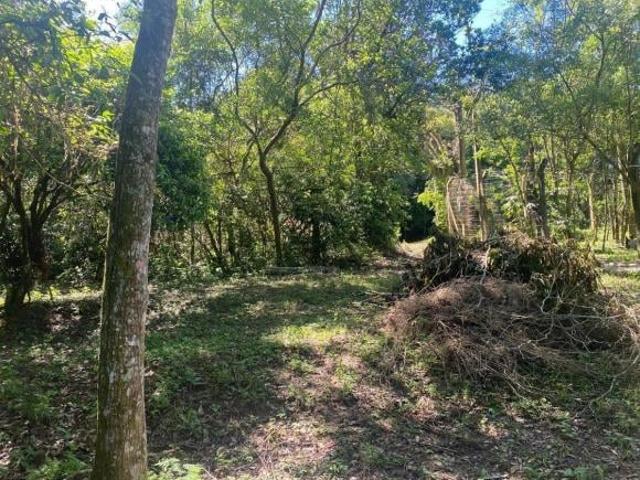 Excelente terreno!