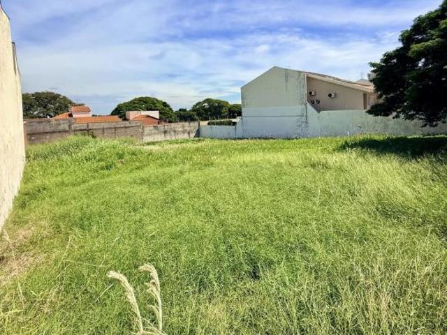 Excelente terreno!