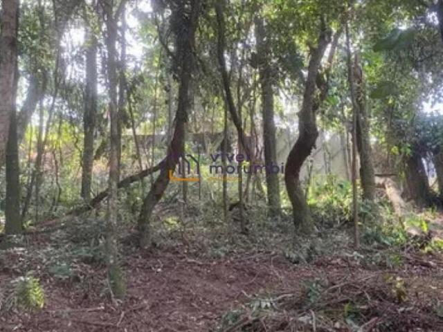 Excelente terreno