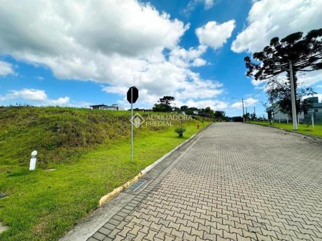 Excelente terreno à venda no bairro Jo Das Palmeiras em Ivoti. Com uma área total de 570 m², esse es
