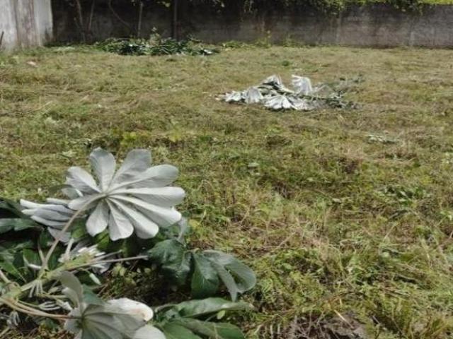 Excelente terreno à venda no Balneário Tupy, Itanhaém, São Paulo de esquina murado com o total de 35
