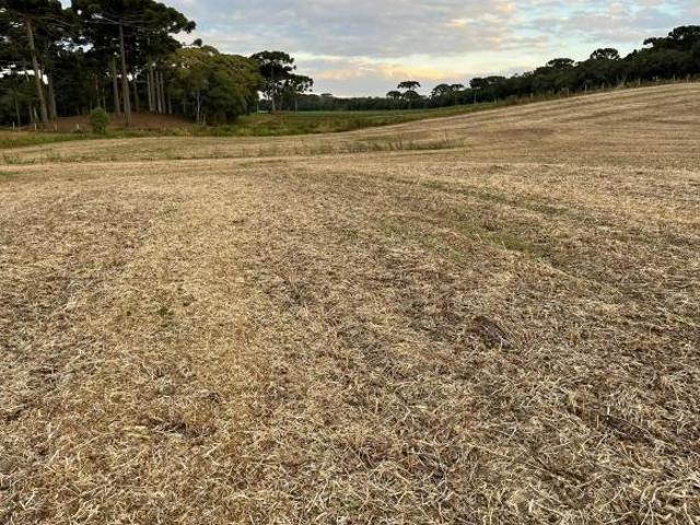 Excelente terreno à venda com 20 mil metros, São Marcos, São José dos Pinhais, PR