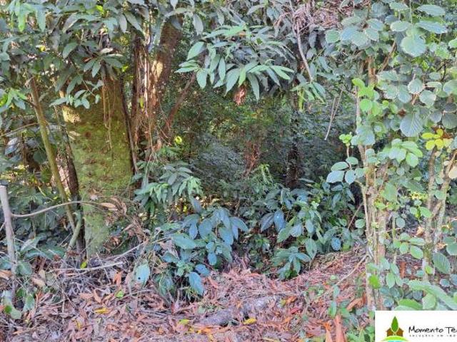 Excelente Terreno à venda, Feiticeira Ilhabela!