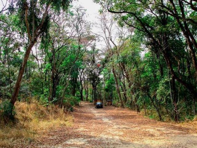 Excelente Terreno A Venda Parque Ipiranga