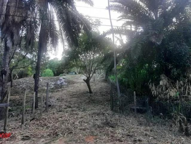 Excelente Terreno amplo 3.000 m2, aclive, Busca Vida, Camaçari, BA