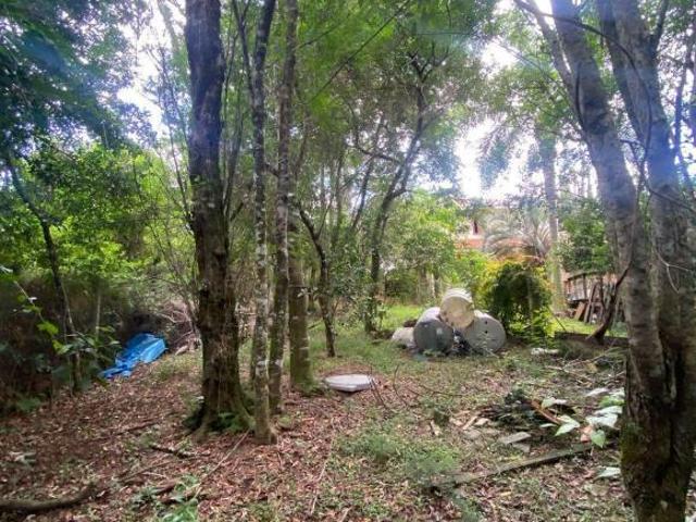Excelente terreno arborizado no Cantegril Fase II