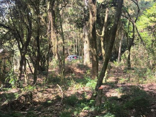 Excelente Terreno Arborizado em Condomínio Fechado – Águas Claras / Viamão