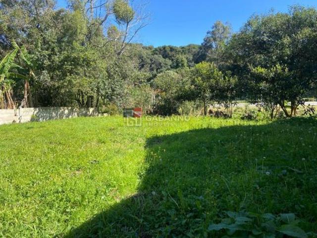 Excelente terreno com 1.030,00m² ao lado do novo P