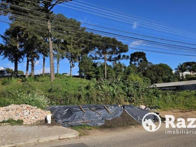 EXCELENTE TERRENO COM ÁREA DE 2.765m² SANTA FELICIDADE REF 5867