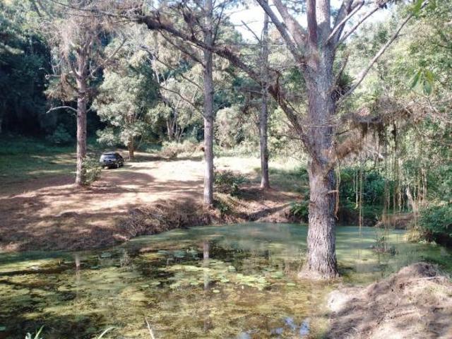 EXCELENTE TERRENO COM LAGO COD: 5311 F: 11 97302 9229 CESAR