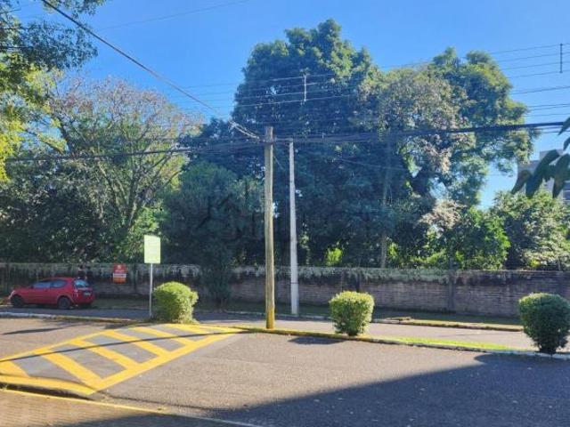 Excelente terreno comercial