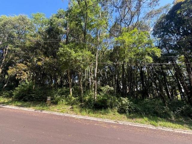 EXCELENTE TERRENO EM BAIRRO DE GRAMADO