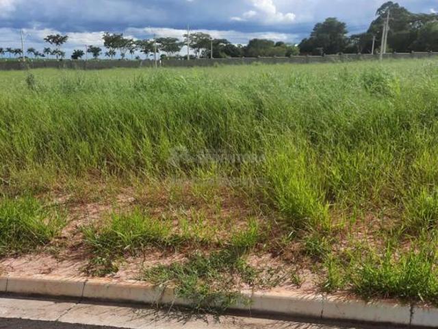 Excelente Terreno em Condomínio para Venda Jardim Vitagliano