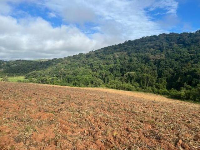 Excelente Terreno em Ibiúna – Ótima Oportunidade de Investimento