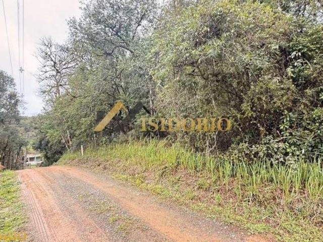 EXCELENTE TERRENO EM QUATRO BARRAS! 5000m², PRÓX GRACIOSA
