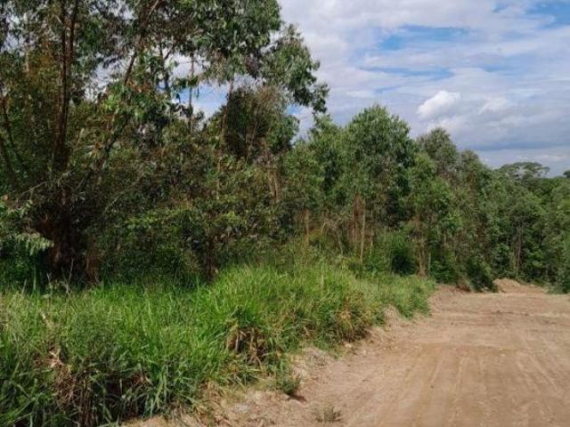 Excelente Terreno em São João Novo – Região Tranquila