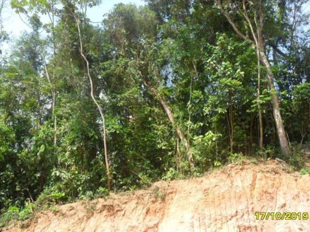 EXCELENTE TERRENO NO CENTRO ÁREA NOBRE COD: 4260 CESAR F: 11 97302 9229