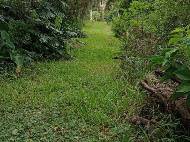 Excelente Terreno no Cristal