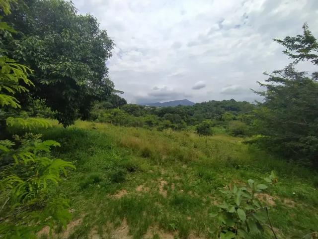 Excelente terreno para venda, com excelente localização!