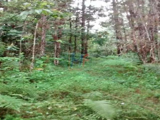 Excelente Terreno proximo a BR 116, 50 alqueires 1.210.000 m2 Juquitiba ! Valor negociável. Estu