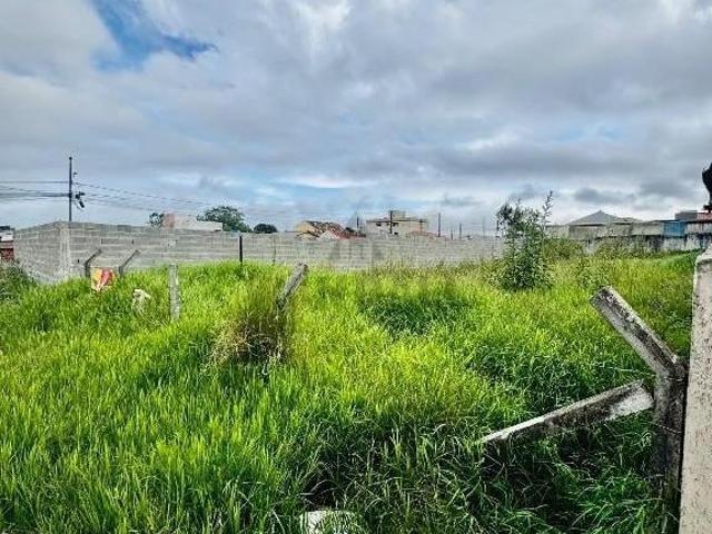 EXCELENTE TERRENO PROXIMO A BR 277