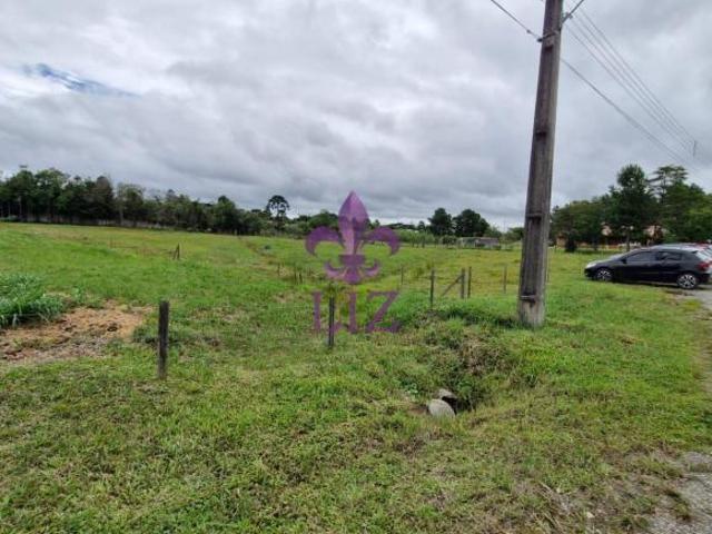 Excelentes lotes à venda em Quatro Barras
