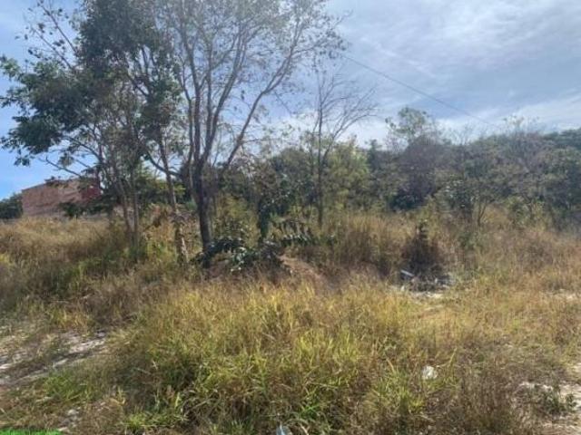 EXCELENTES LOTES, BAIRRO RECANTO DO SOL EM FLORESTAL