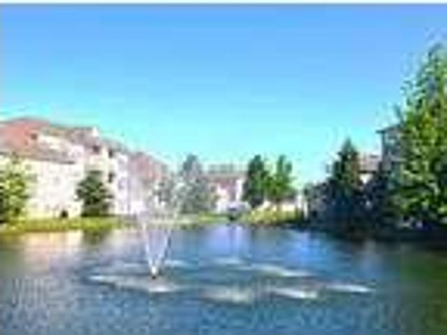Excellent 1Bed 1Bath