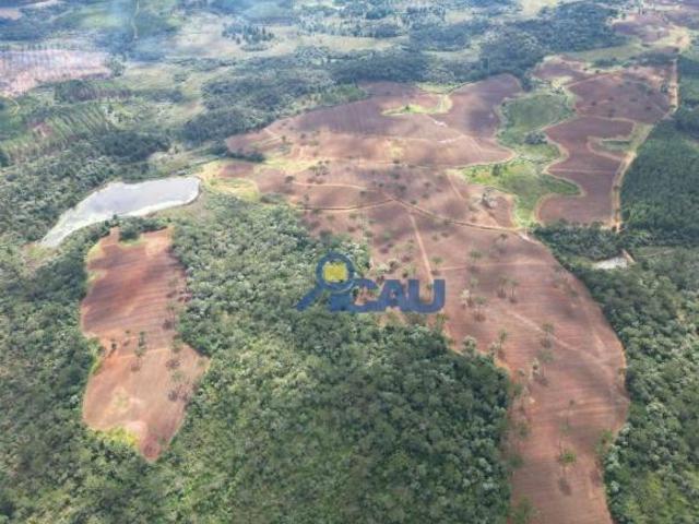 Excepcional FAZENDA com 470,3 ha no Paraná