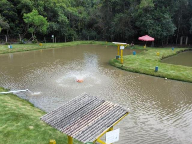 EXCLENTE PESQUEIRO É RESTOURANTE A VENDA EM IBIÚNA SP