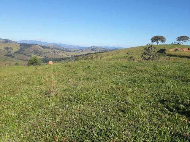 Exclusividade e Produtividade: Fazenda 680 Hectares a 500m do Asfalto no de Sul de