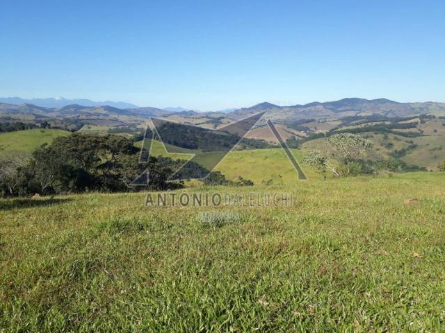 Exclusividade e Produtividade: Fazenda 680 Hectares a 500m do Asfalto no de Sul de Minas!