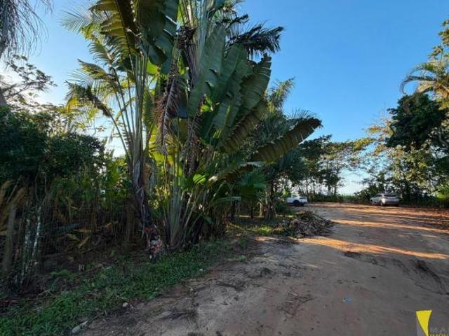 Exclusividade Frente Mar na Praia de Itamambuca