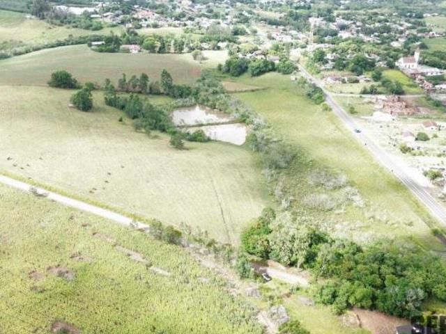 EXCLUSIVIDADE: 7 HECTARES NO BARRET0 TRIUNFO RS FRENTE DO ASFALTO