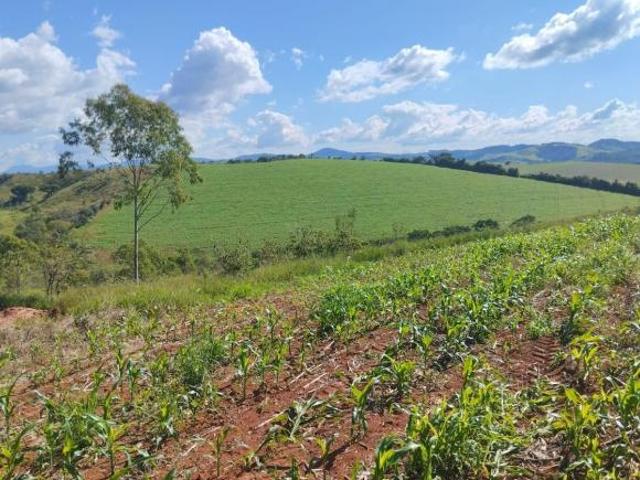EXELENTE FAZENDA À VENDA VALOR>>>R$15.000.000,00 CONCEIÇÃO DO RIO VERDE MG ÁREA TOTAL 268,4 HECTÁ