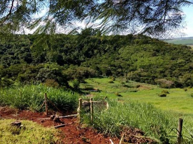 EXELENTE OPORTUNIDADE, SÍTIO NA SERRINHA, ENTRE DOUTOR CAMARGO E ÁGUA BOA.São 6 alqueires, sendo 5 a