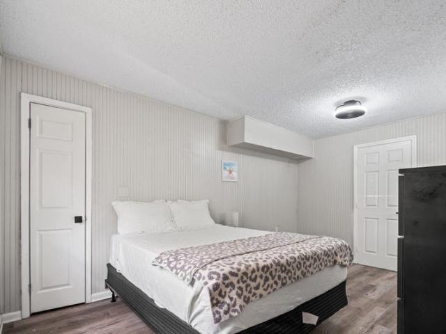 Experience Premium CoLiving in Newly Renovated
