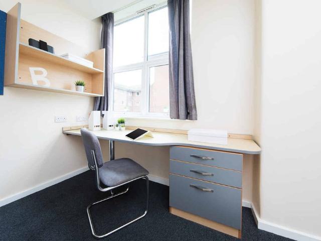 Extra Large Standard Double Studio