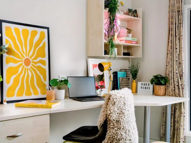Extra Large Studio