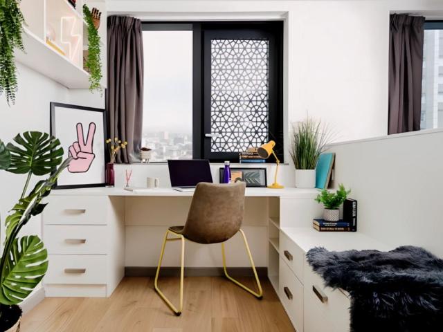 Extra Large Studio