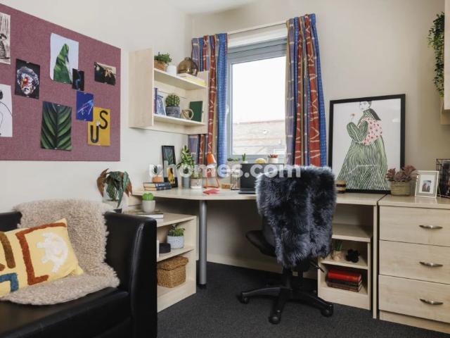 Extra Large Studio