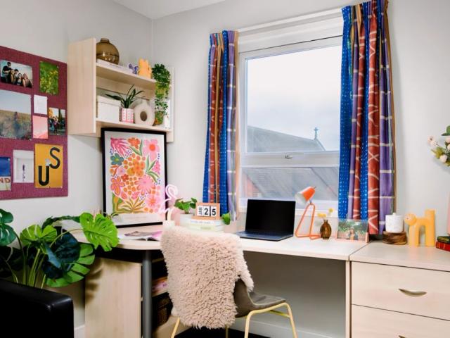 Extra Large Studio