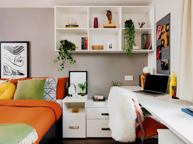 Extra Large Studio