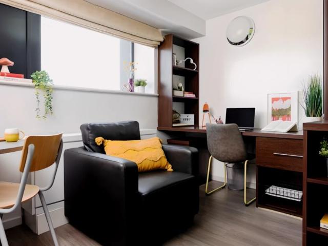 Extra Large Studio