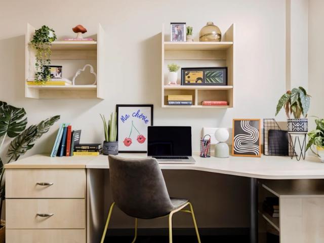 Extra Large Studio