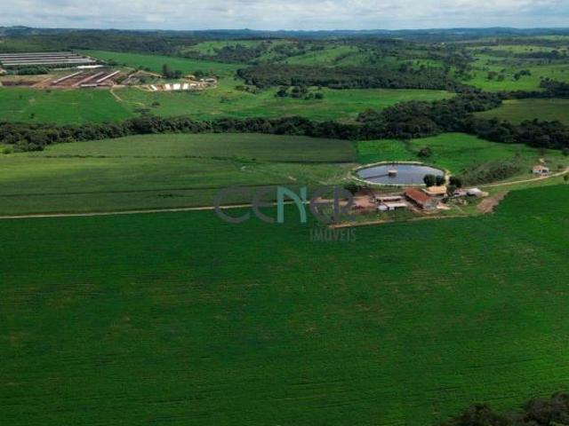 Extraordinária fazenda de 170 ha em lavoura e pecuária