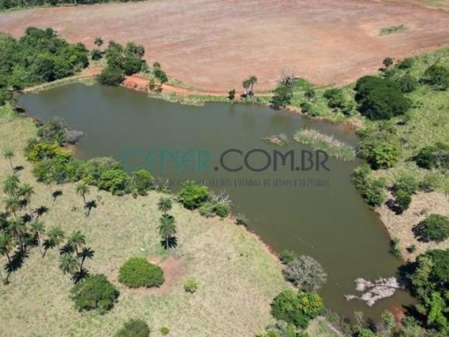 Extraordinária Fazenda de 1170 ha com Dupla aptidão e 100 Km de BH
