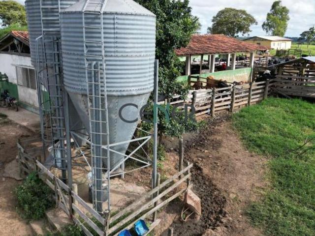 Extraordinária fazenda de 374 ha para lavoura e leite. P. fechada