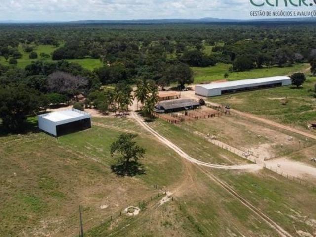 Extraordinária Fazenda de 4.870 ha Às Margens do Rio São Francisco em Buritizeiro