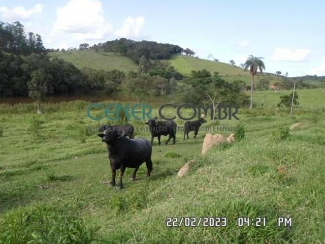 Extraordinária Fazenda de 83 ha com Jazida de areia de alto potencial a 75 Km de BH